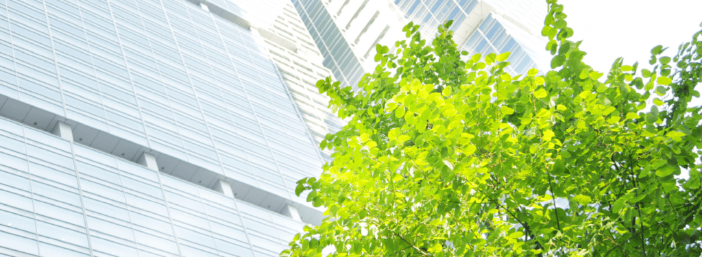 IoT in the Office: How intelligent controls make the workplace more ...