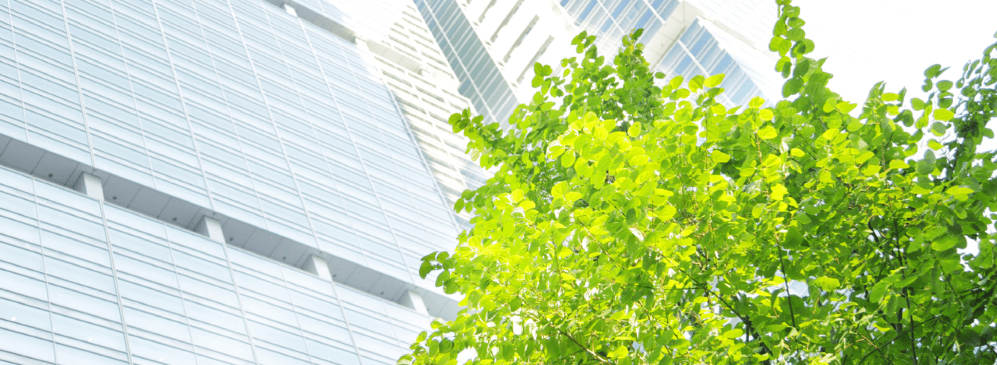 IoT in the Office: How intelligent controls make the workplace more ...